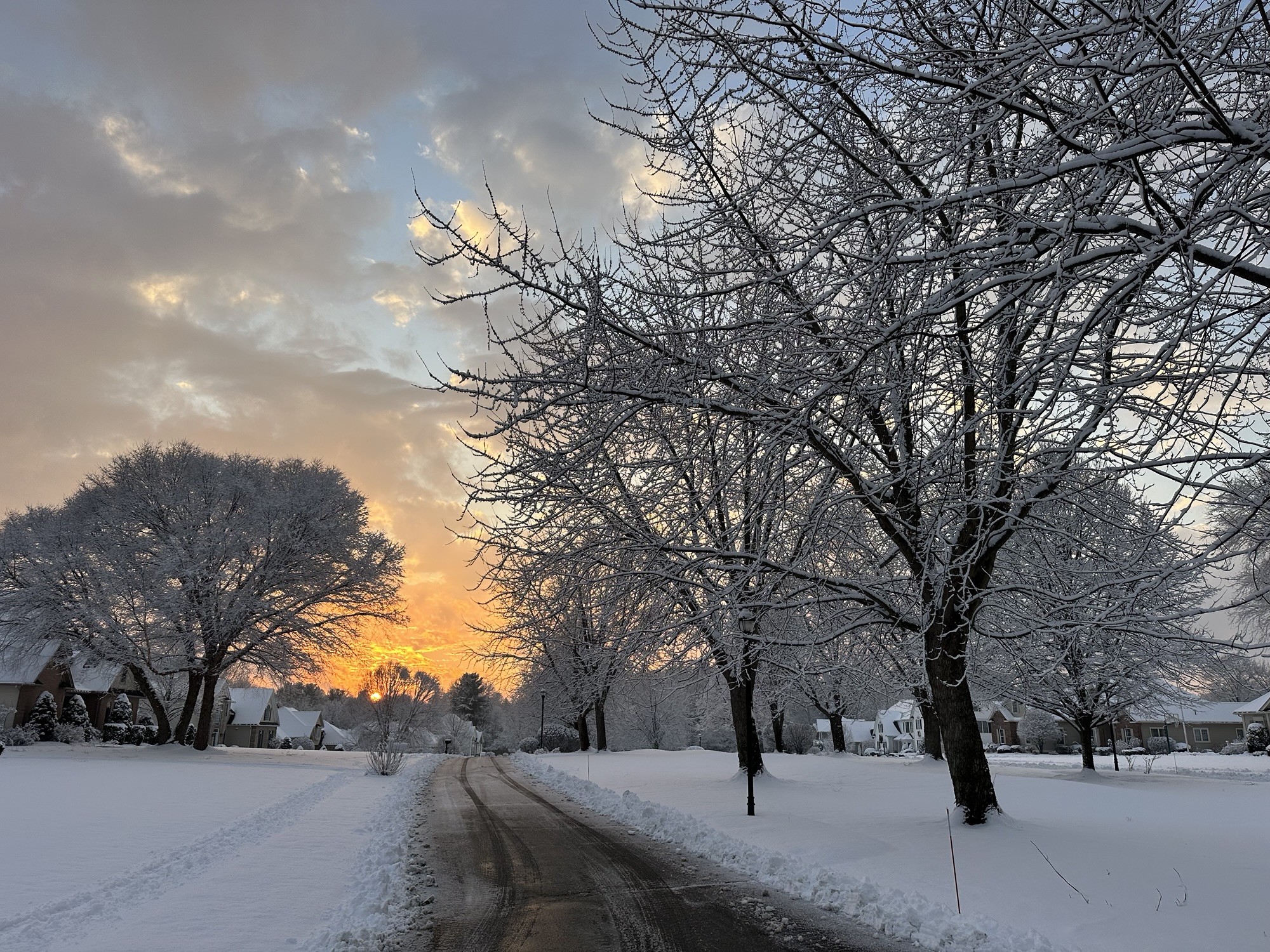 Belly Fat Bootcamp Challenge | Unruffled Peace