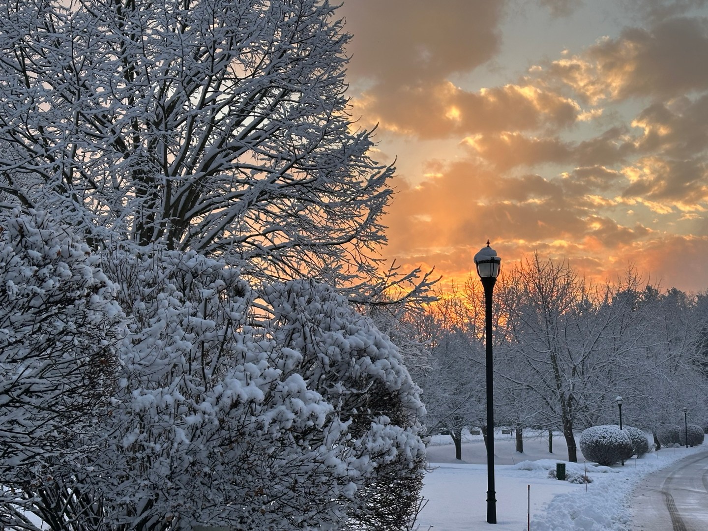 Belly Fat Bootcamp Challenge | Unruffled Peace